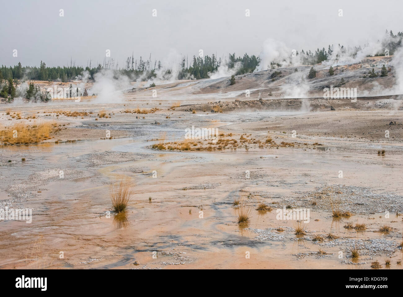 Geo-thermal landscape scenery at Norris Geyser Basin in West ...