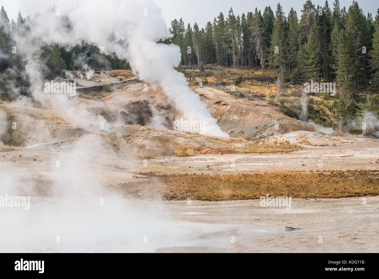 Geo-thermal landscape scenery at Norris Geyser Basin in West ...