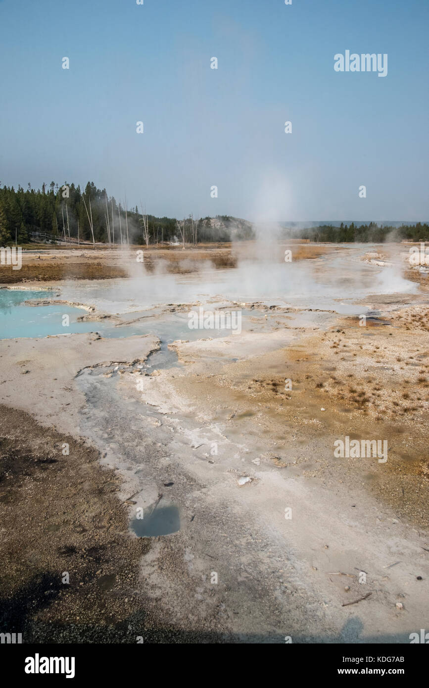 Geo-thermal landscape scenery at Norris Geyser Basin in West ...