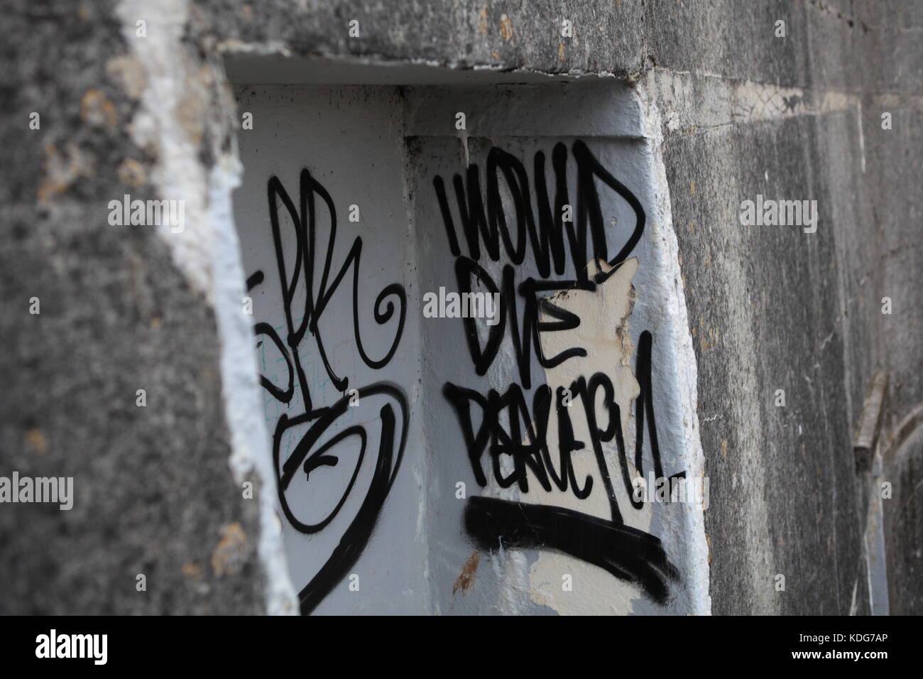 Black graffiti near the beach at Newquay, Cornwall Stock Photo - Alamy