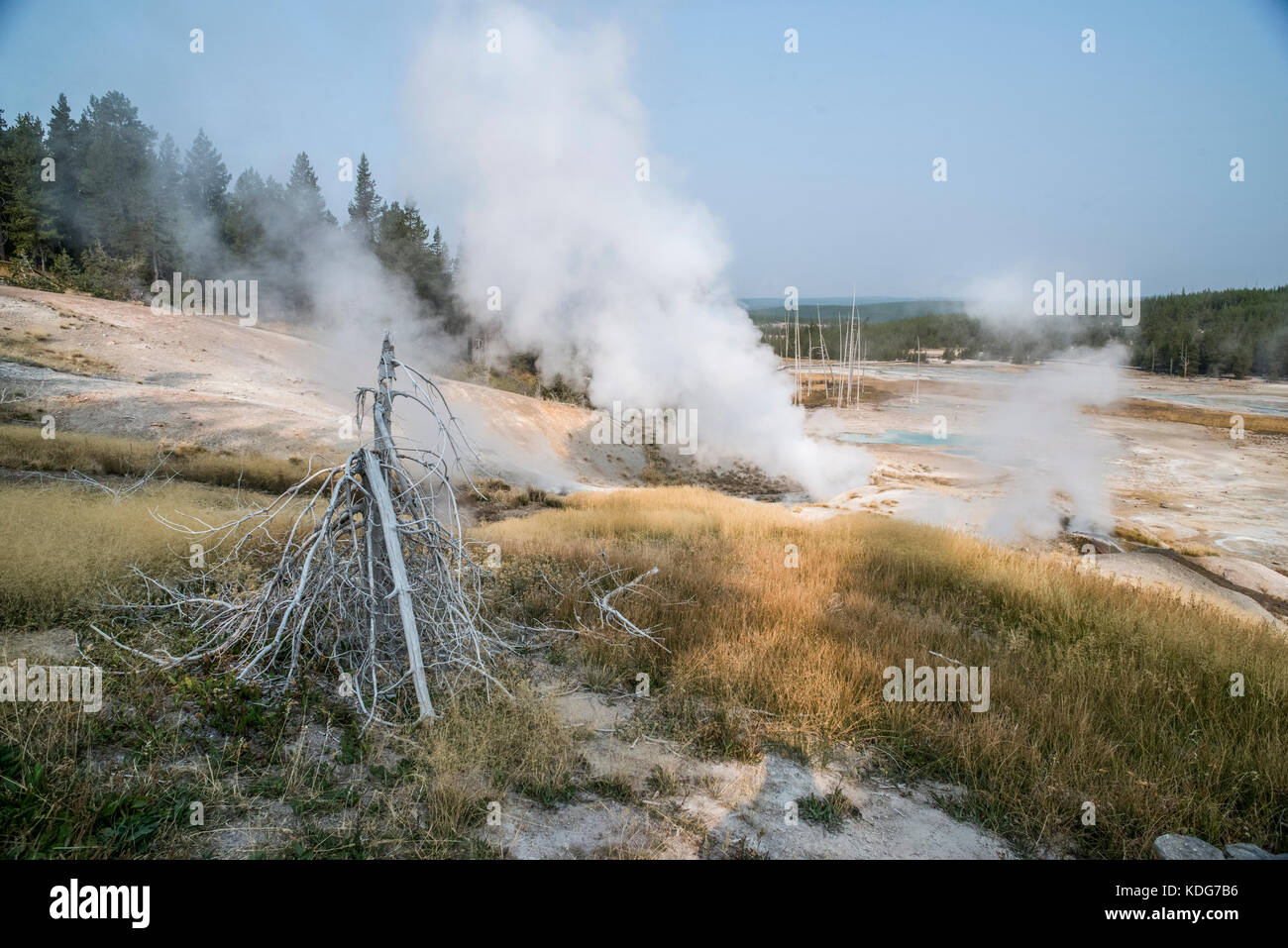 Geo-thermal landscape scenery at Norris Geyser Basin in West ...