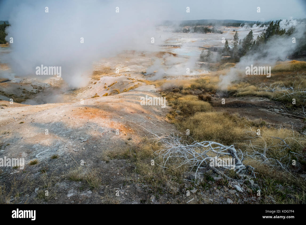 Geo-thermal landscape scenery at Norris Geyser Basin in West ...