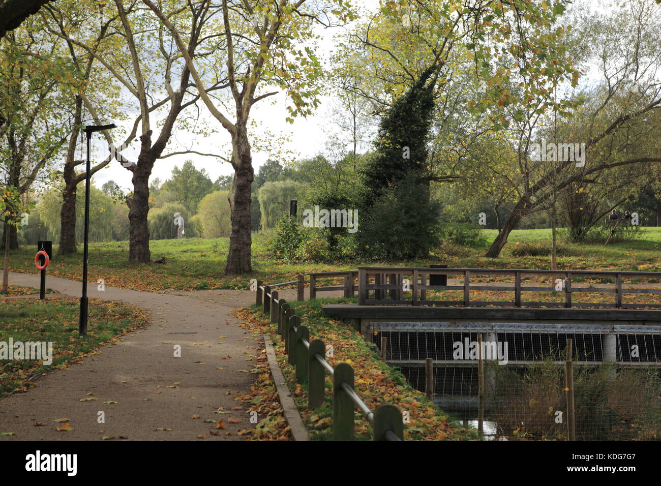 Hampstead heath london autumn hi-res stock photography and images - Alamy