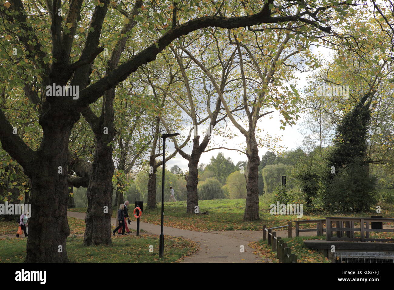 Hampstead Heath, autumn tress Stock Photo - Alamy