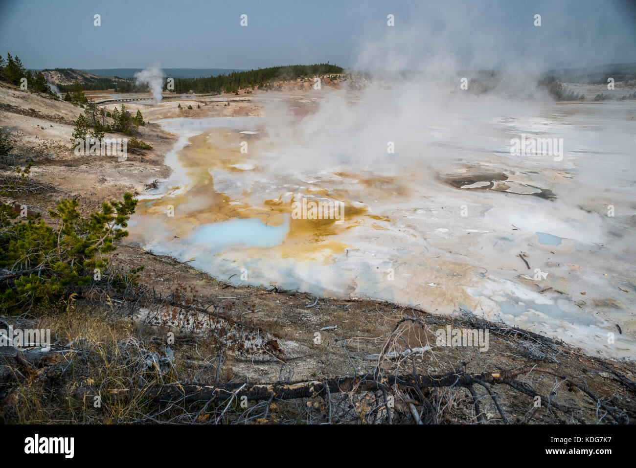 Geo-thermal landscape scenery at Norris Geyser Basin in West ...