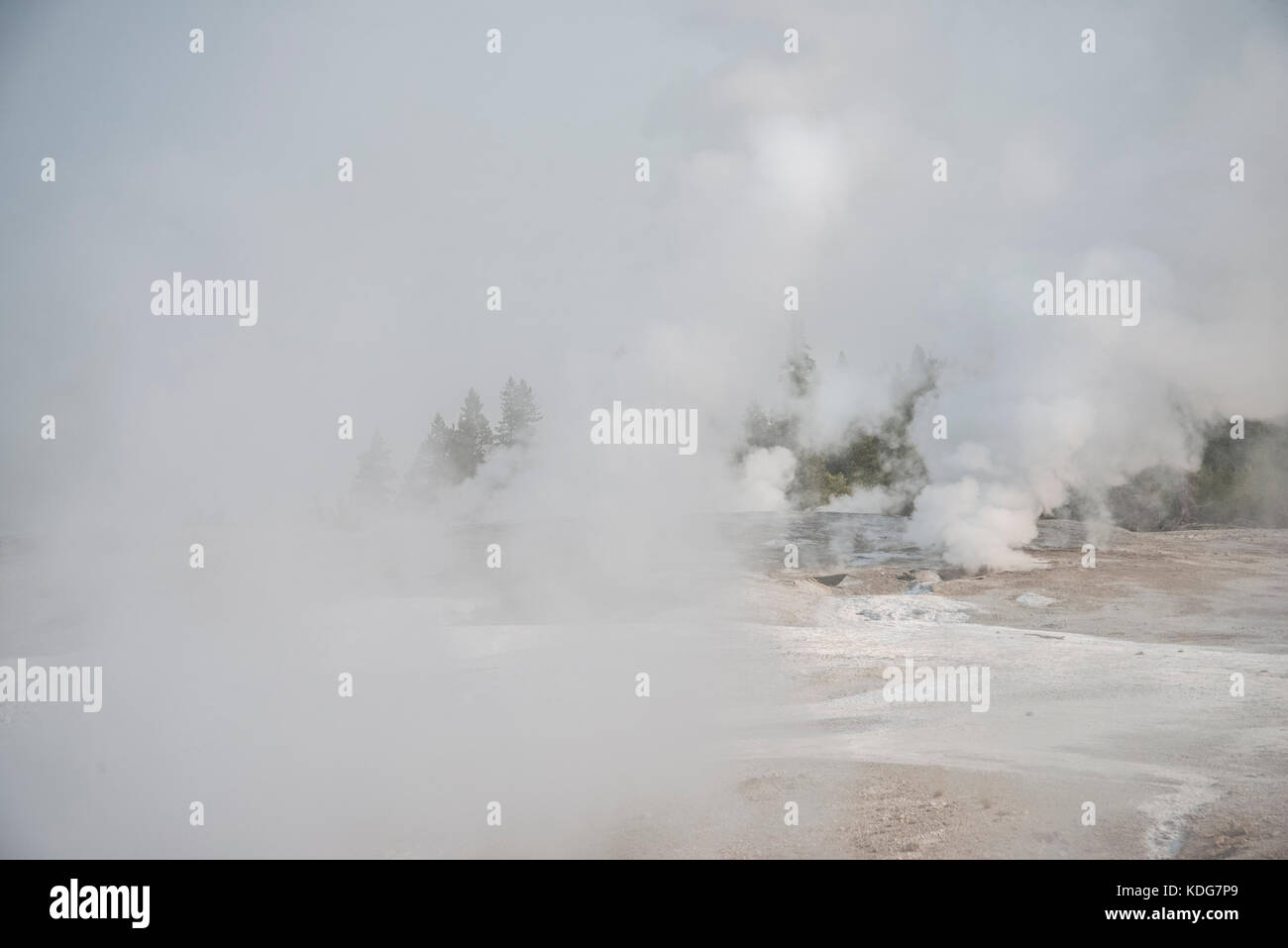 Geo-thermal landscape scenery at Norris Geyser Basin in West ...