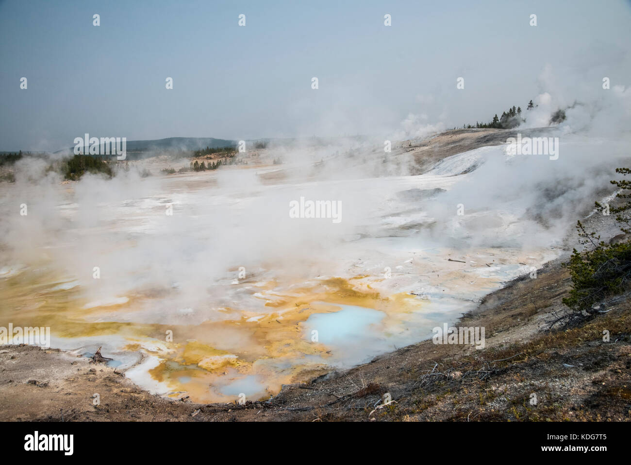 Geo-thermal landscape scenery at Norris Geyser Basin in West ...