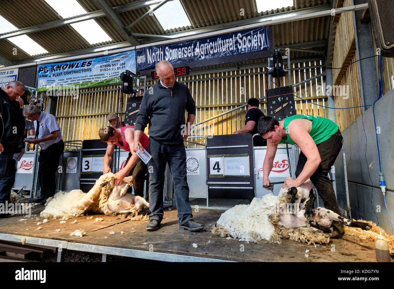 Sheep Shearing contest North Somerset Agricultural Show Stock Photo - Alamy