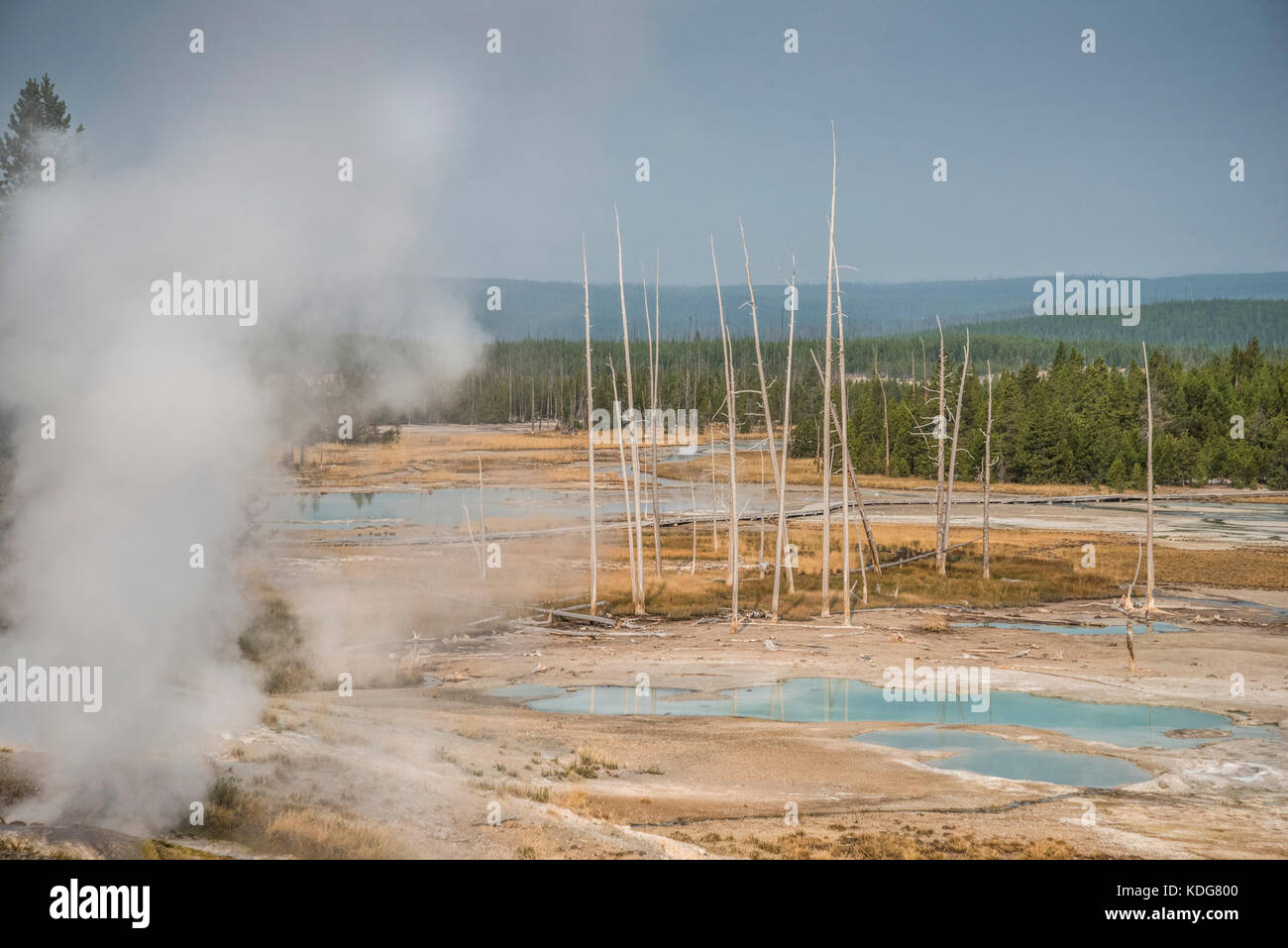 Geo-thermal landscape scenery at Norris Geyser Basin in West ...
