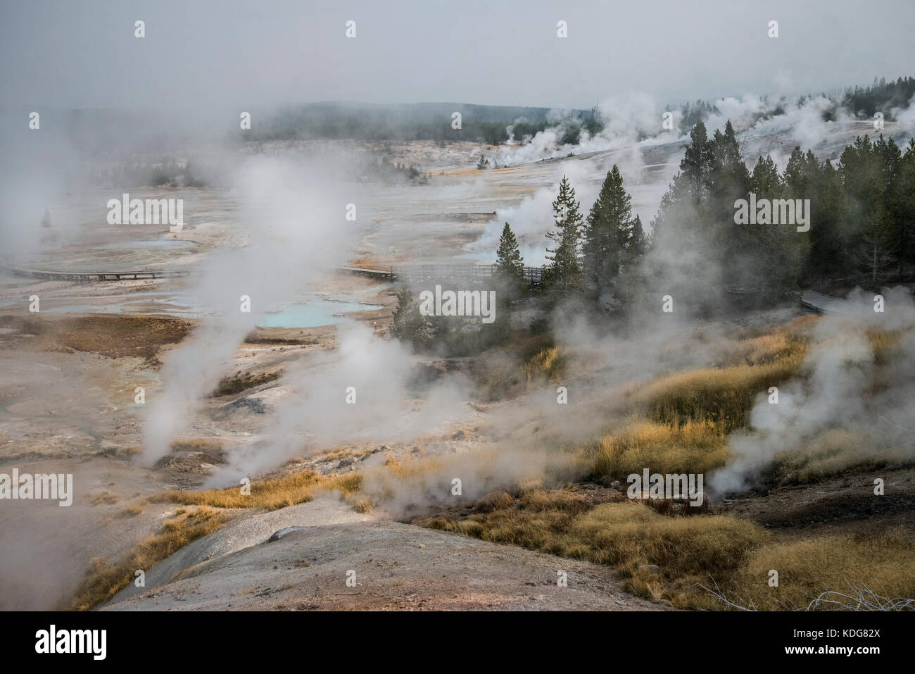 Geo-thermal landscape scenery at Norris Geyser Basin in West ...