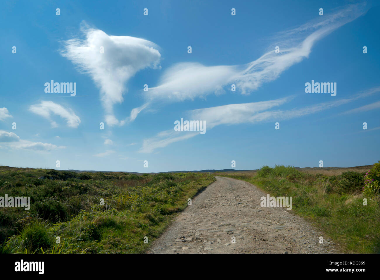 View of Cliffs of Mohr, Ireland Stock Photo - Alamy