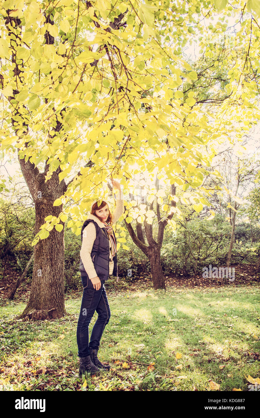 Young brunette woman posing under the beech tree in autumn nature ...