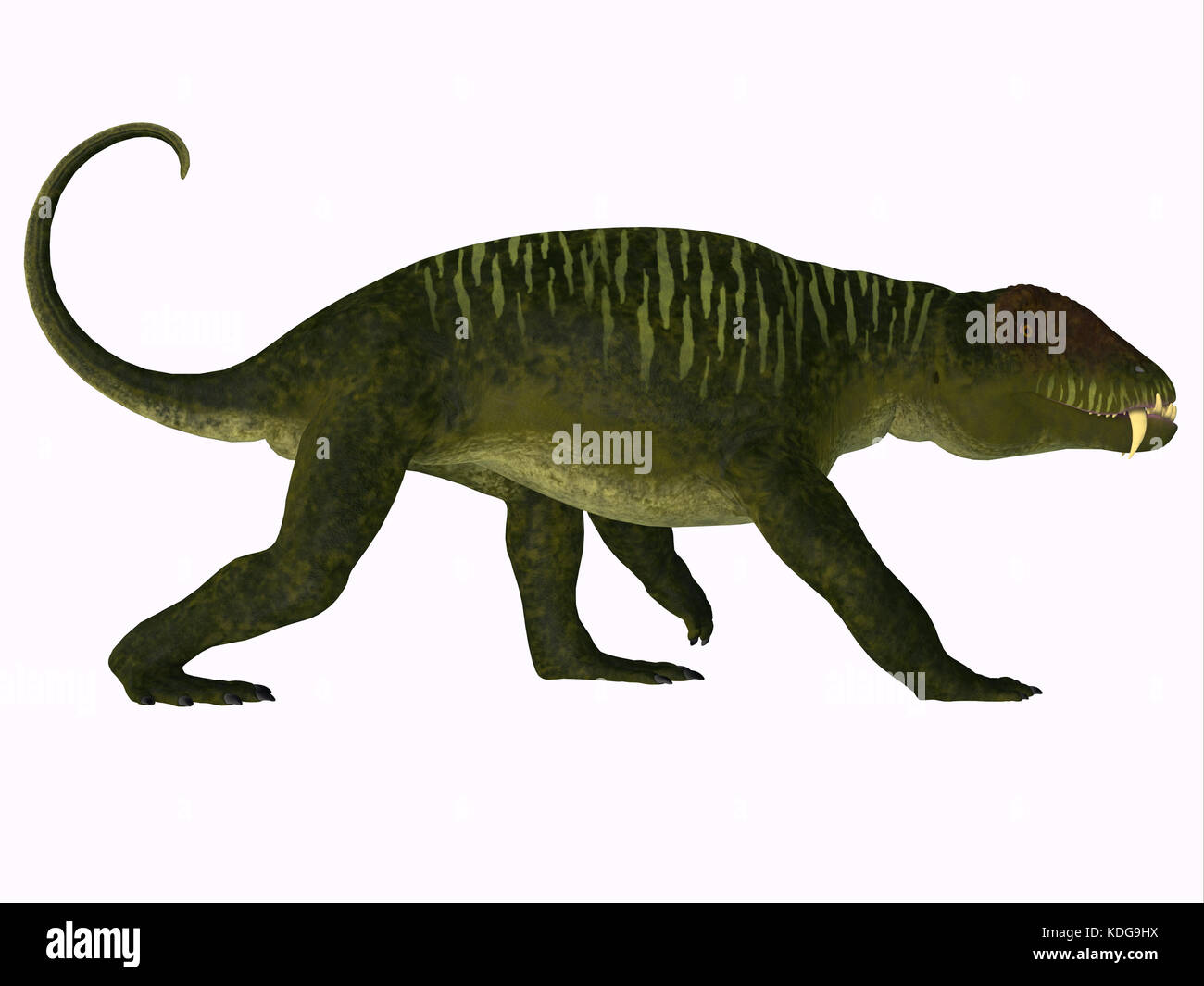 Therapsids hi-res stock photography and images - Alamy
