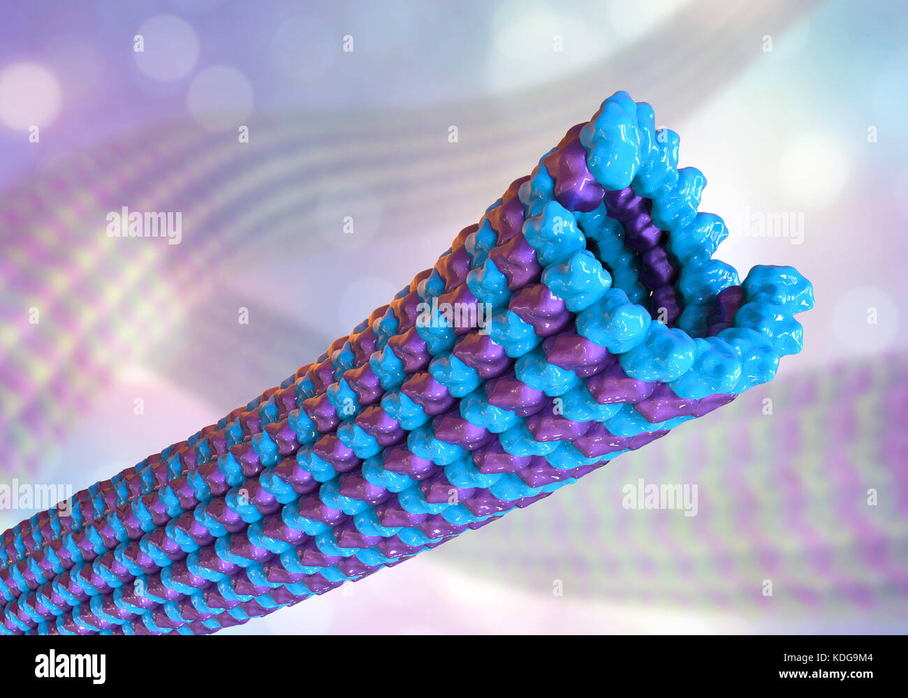 Neurofibrillary tangle hi-res stock photography and images - Alamy
