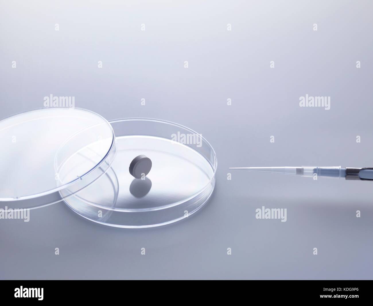 Pharmaceutical drug discovery hi-res stock photography and images - Alamy