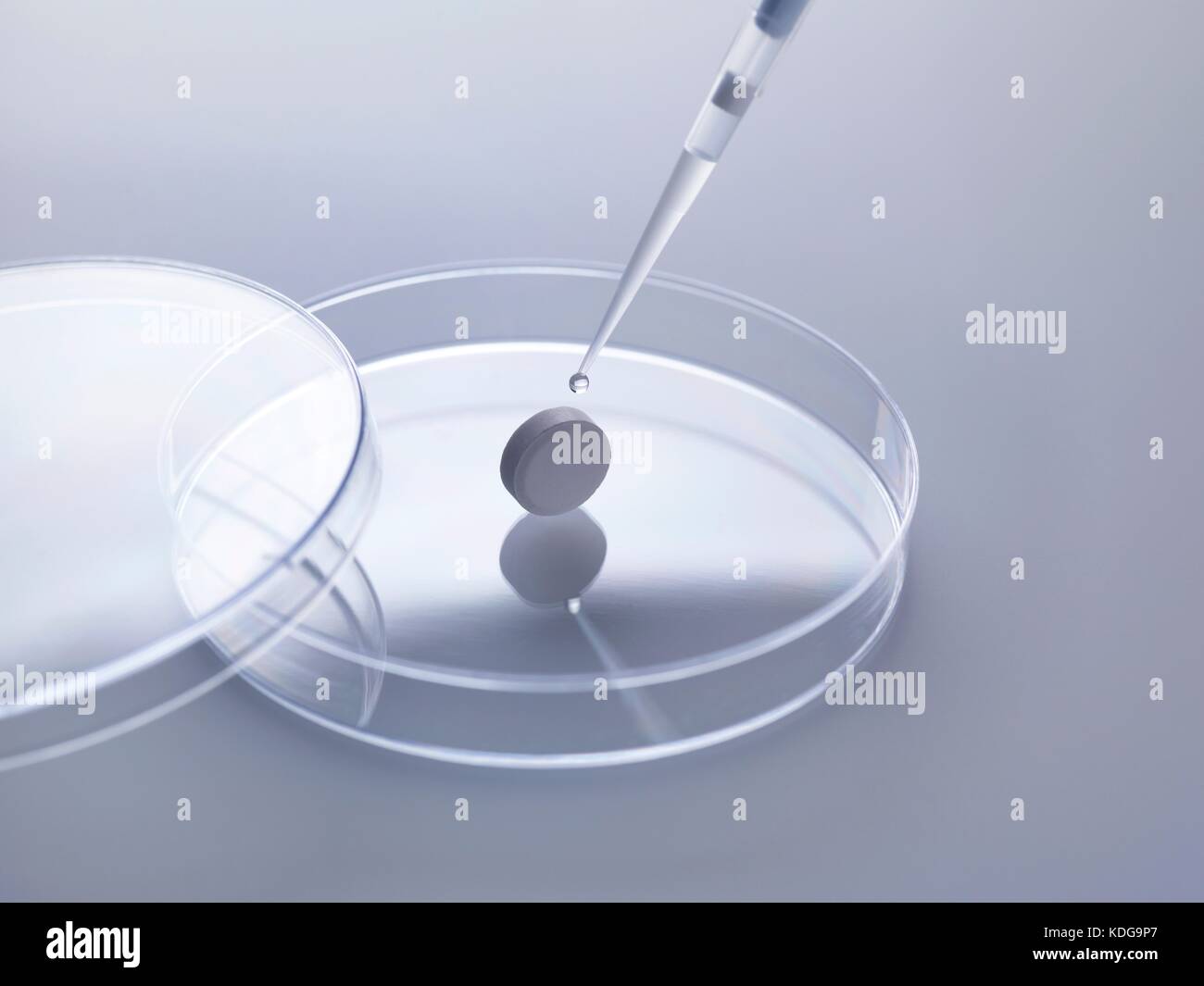 Pharmaceutical drug discovery hi-res stock photography and images - Alamy