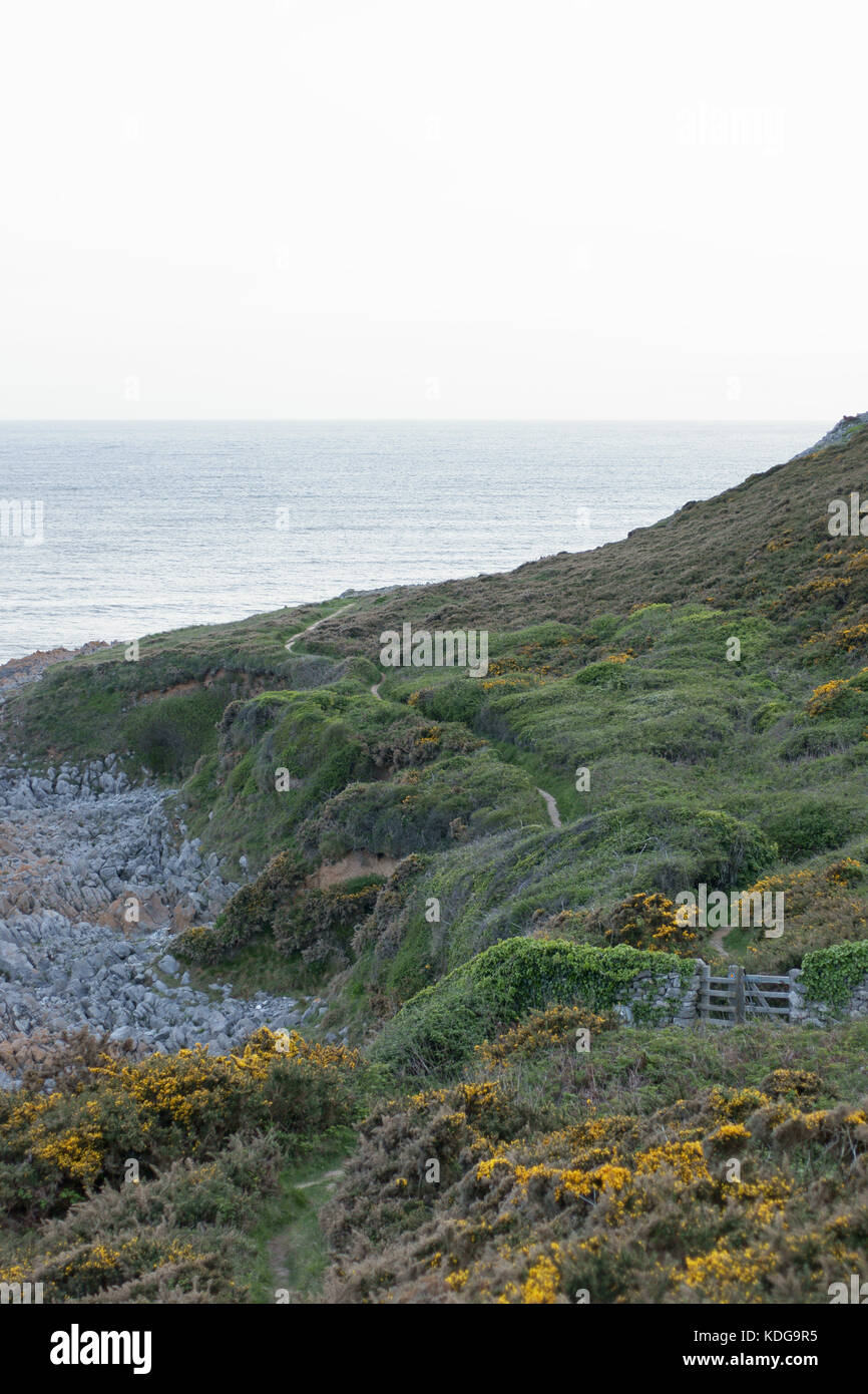 Gower coastal path hi-res stock photography and images - Alamy
