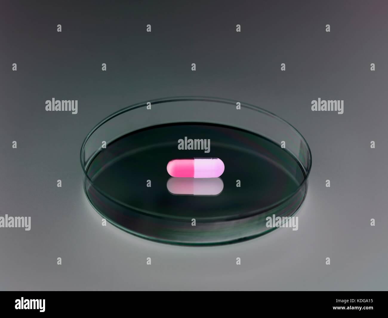 Pill in Petri dish illustrating drug research and clinical testing ...