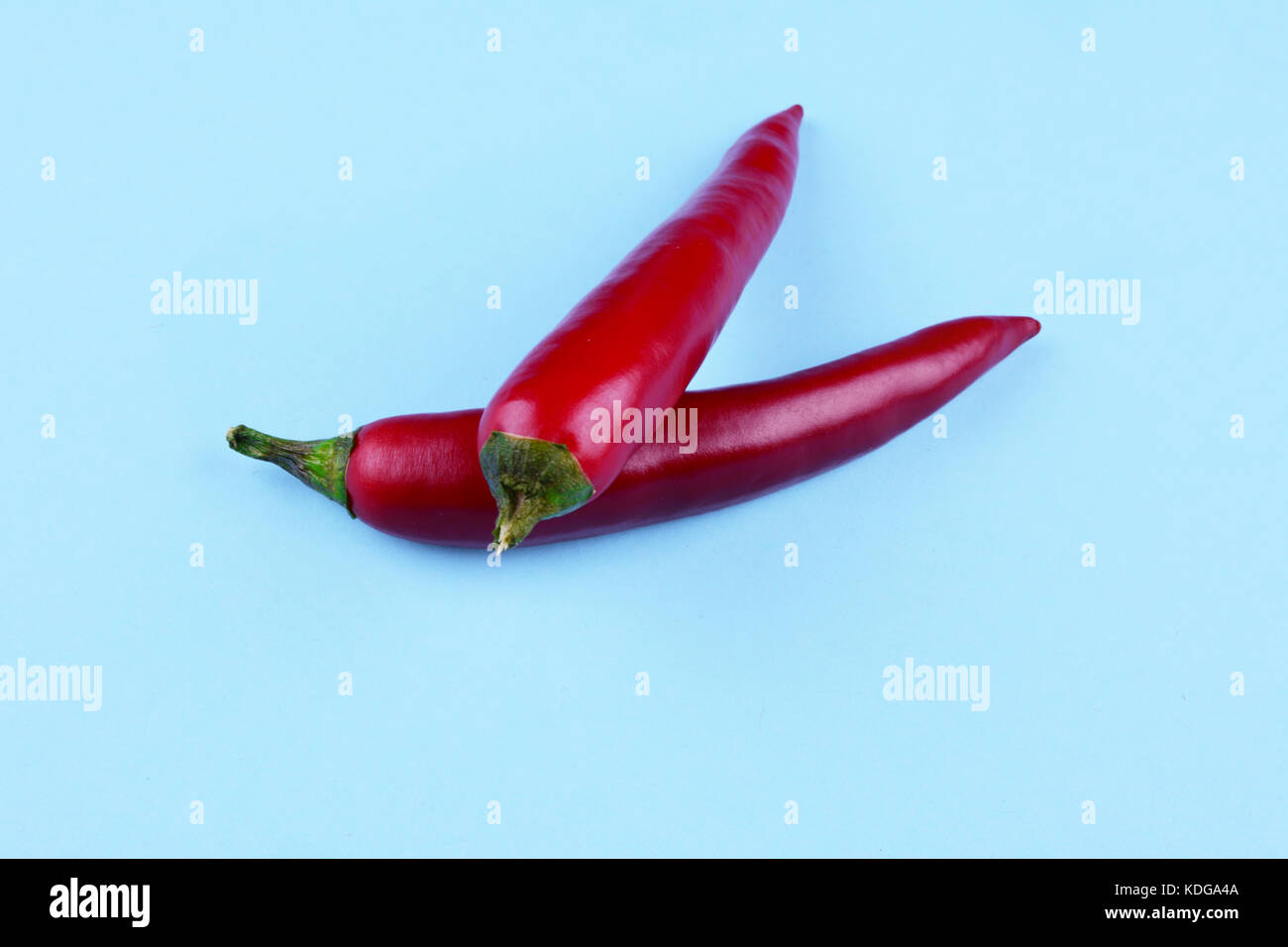 Red chilli papper on trendy blue background. Flat lay style. Colorful ...
