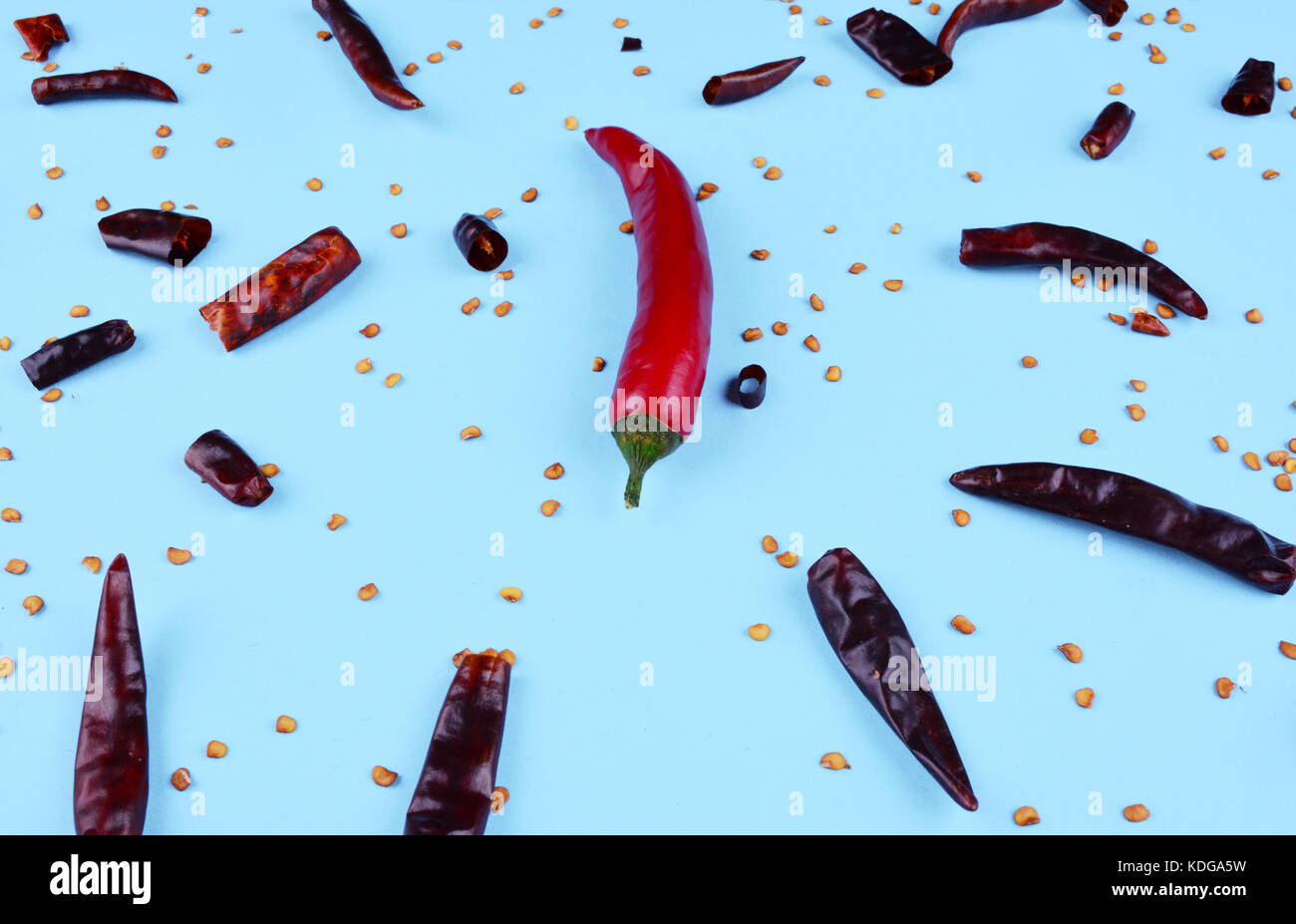 Red chilli papper on trendy blue background. Flat lay style. Colorful ...