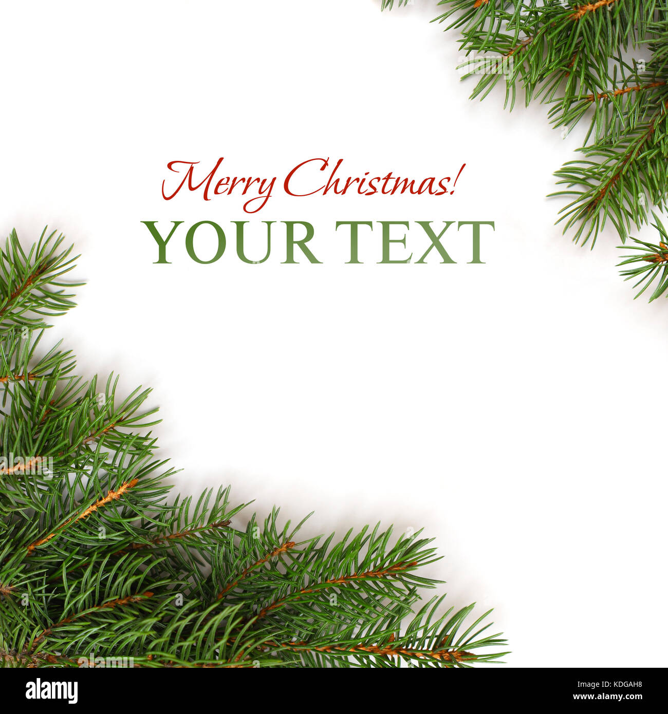 Christmas border - Xmas tree branch isolated Stock Photo - Alamy