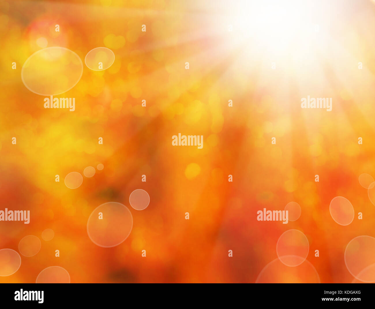 Abstract Autumn Background with Gold Bokeh. Fall Bokeh Background Stock ...