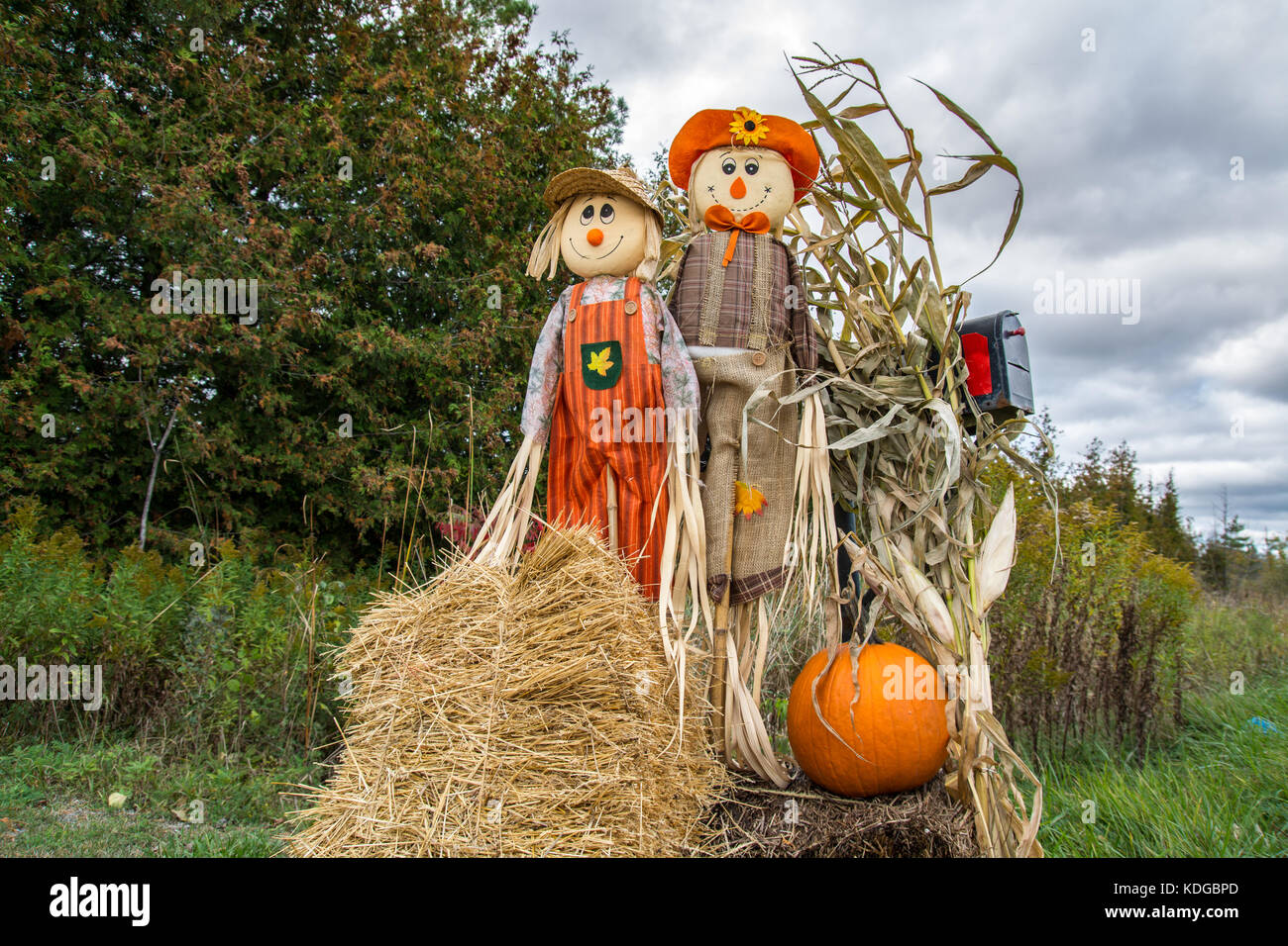 Autumn season display hi-res stock photography and images - Alamy