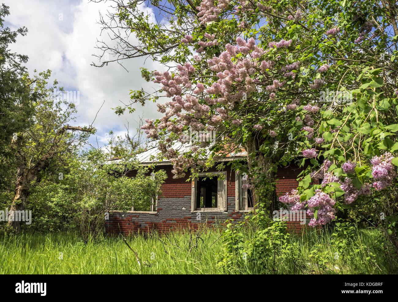 Old Rural Countryside Buildings Stock Photo - Alamy