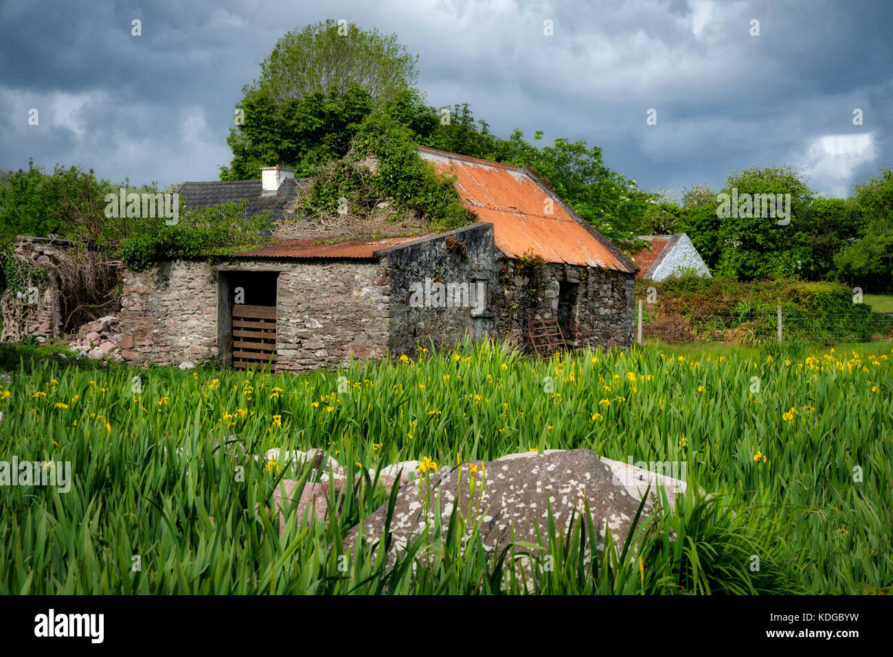 Ireland barn hi-res stock photography and images - Alamy