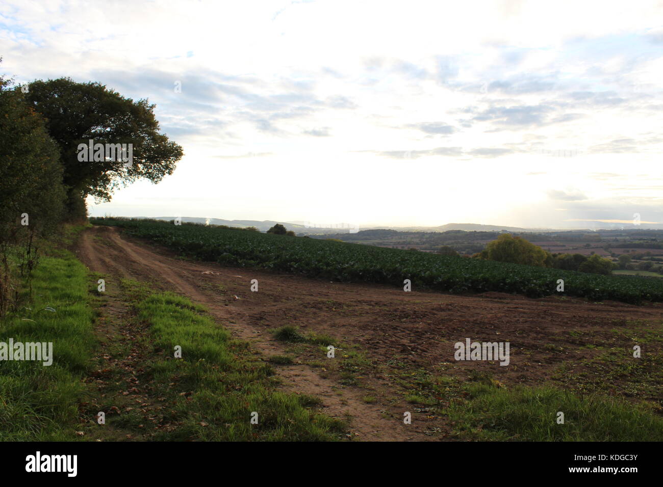 Herefordshire countryside hi-res stock photography and images - Alamy