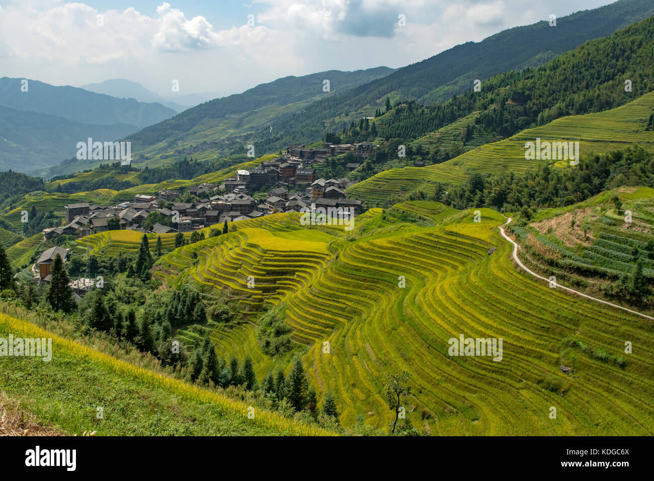 Longji Terraced Rice Fields, Longsheng, Guangxi, China Stock Photo - Alamy