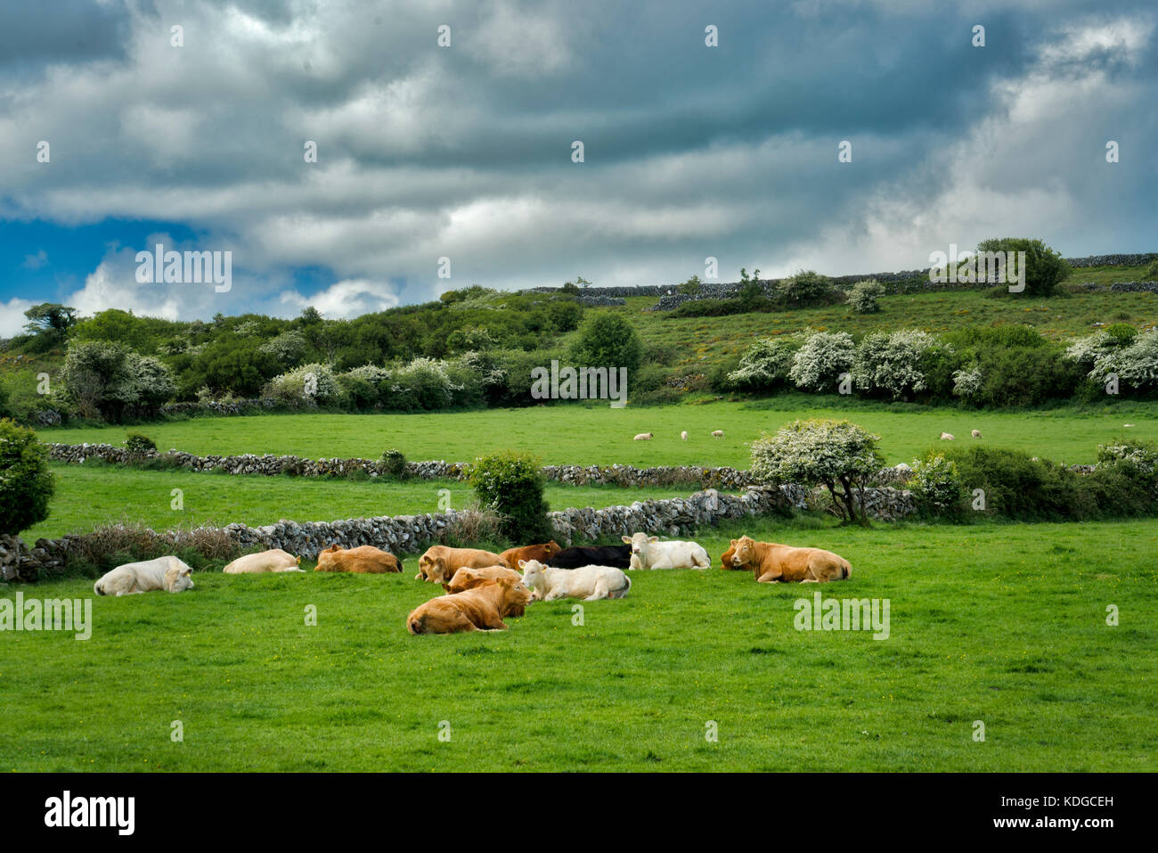 Stone fence hi-res stock photography and images - Alamy