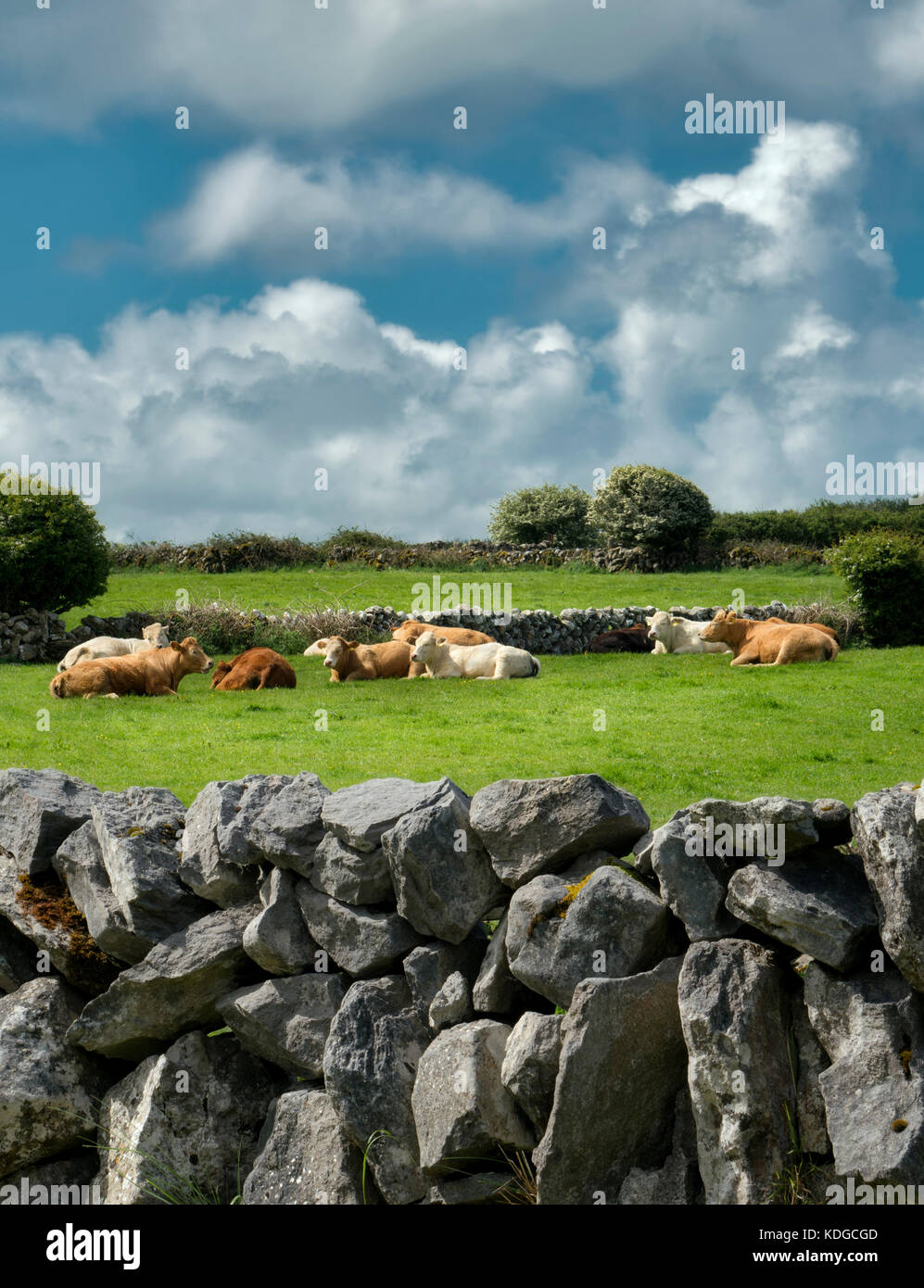 Stone fence hi-res stock photography and images - Alamy