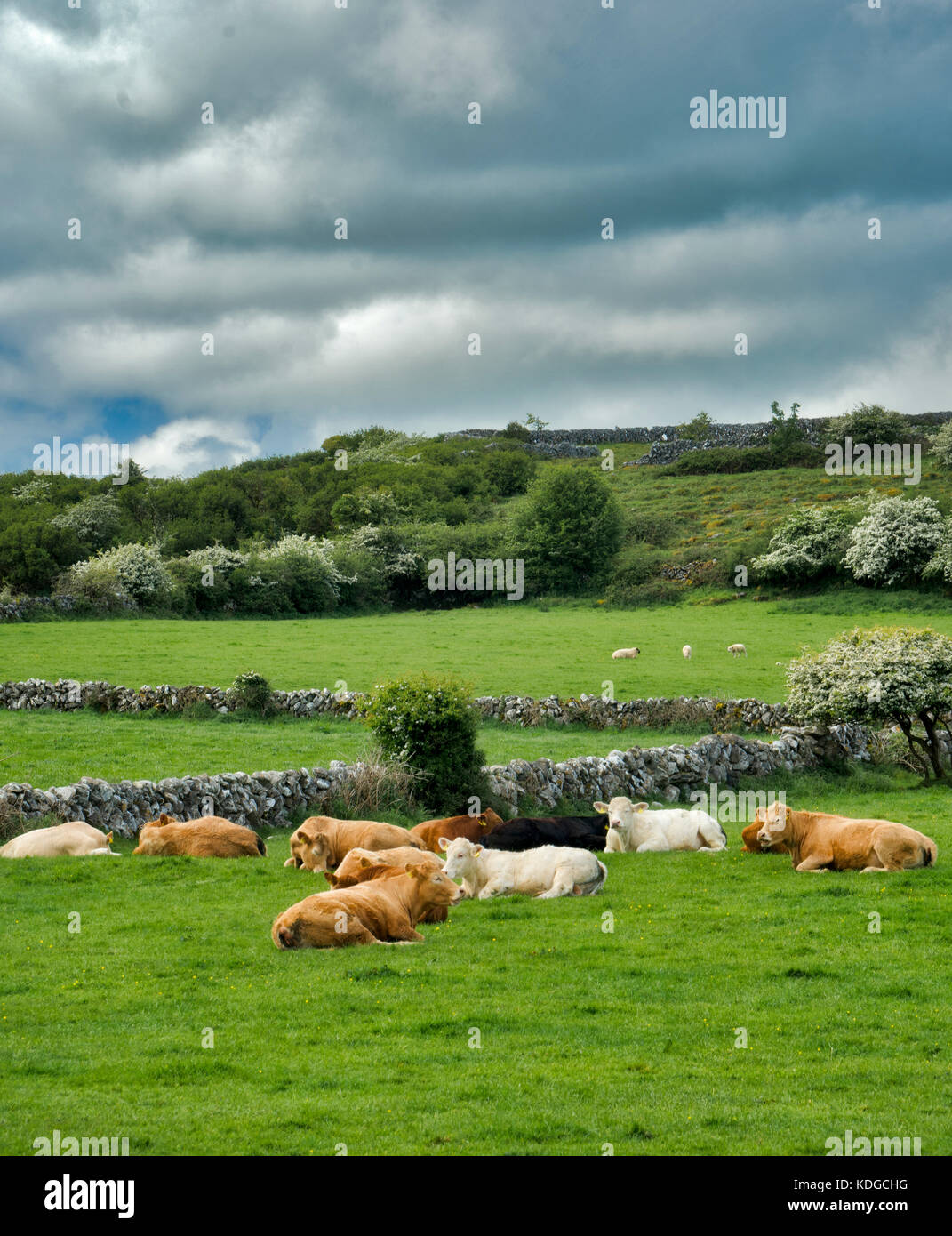 Stone fence hi-res stock photography and images - Alamy