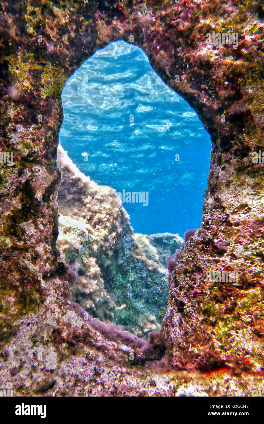 An underwater shot showing a natural carved out window with a ...