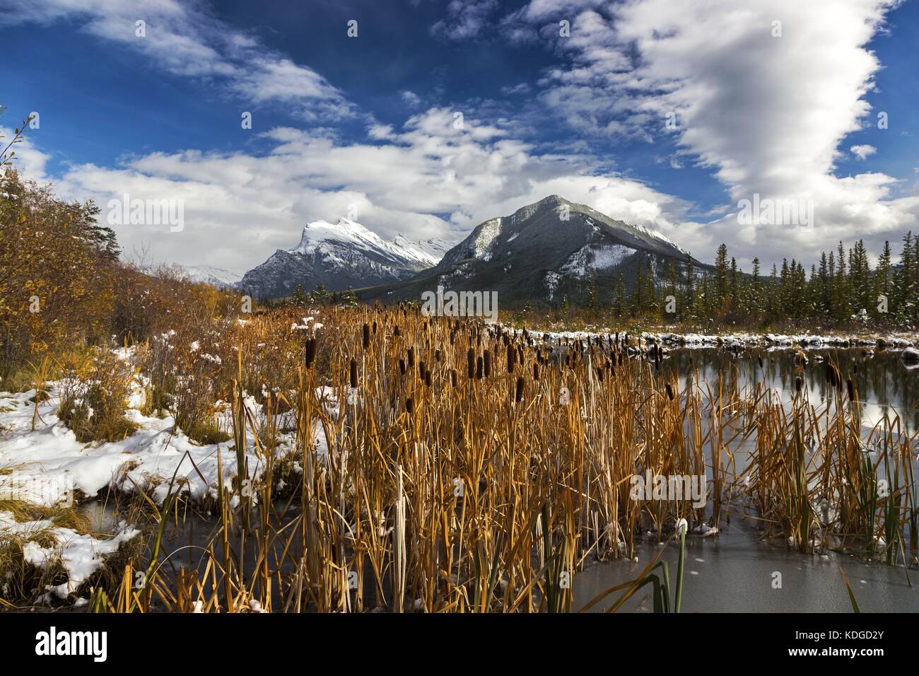 Wetland landscape hi-res stock photography and images - Alamy