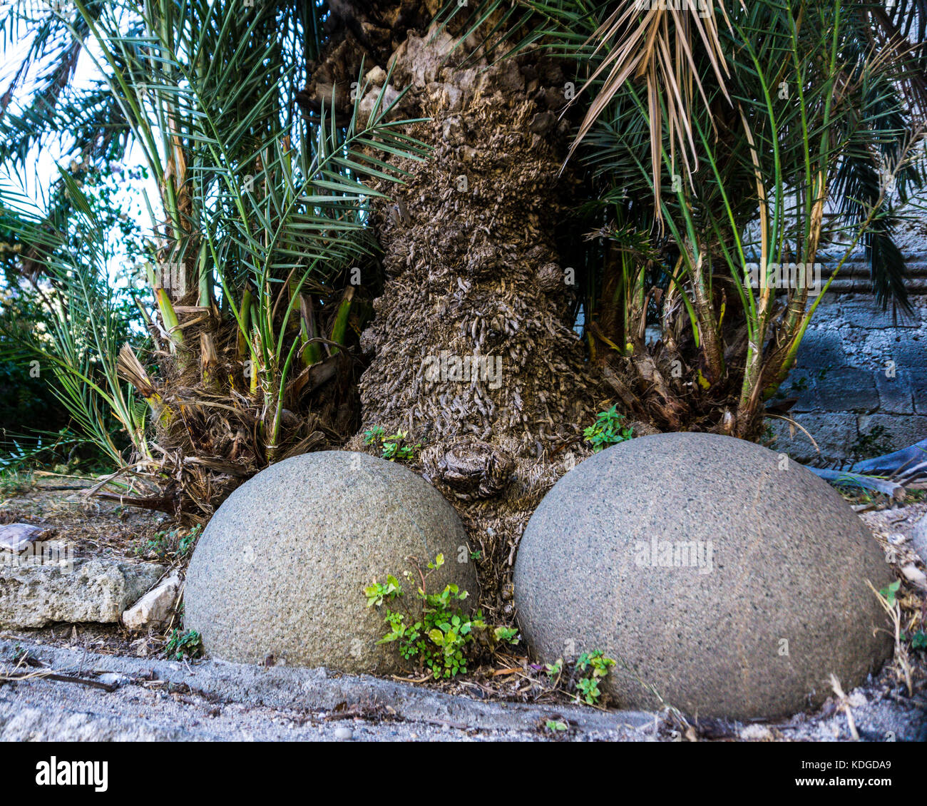 A palm tree in Rhodes Greece with two stone balls Stock Photo - Alamy