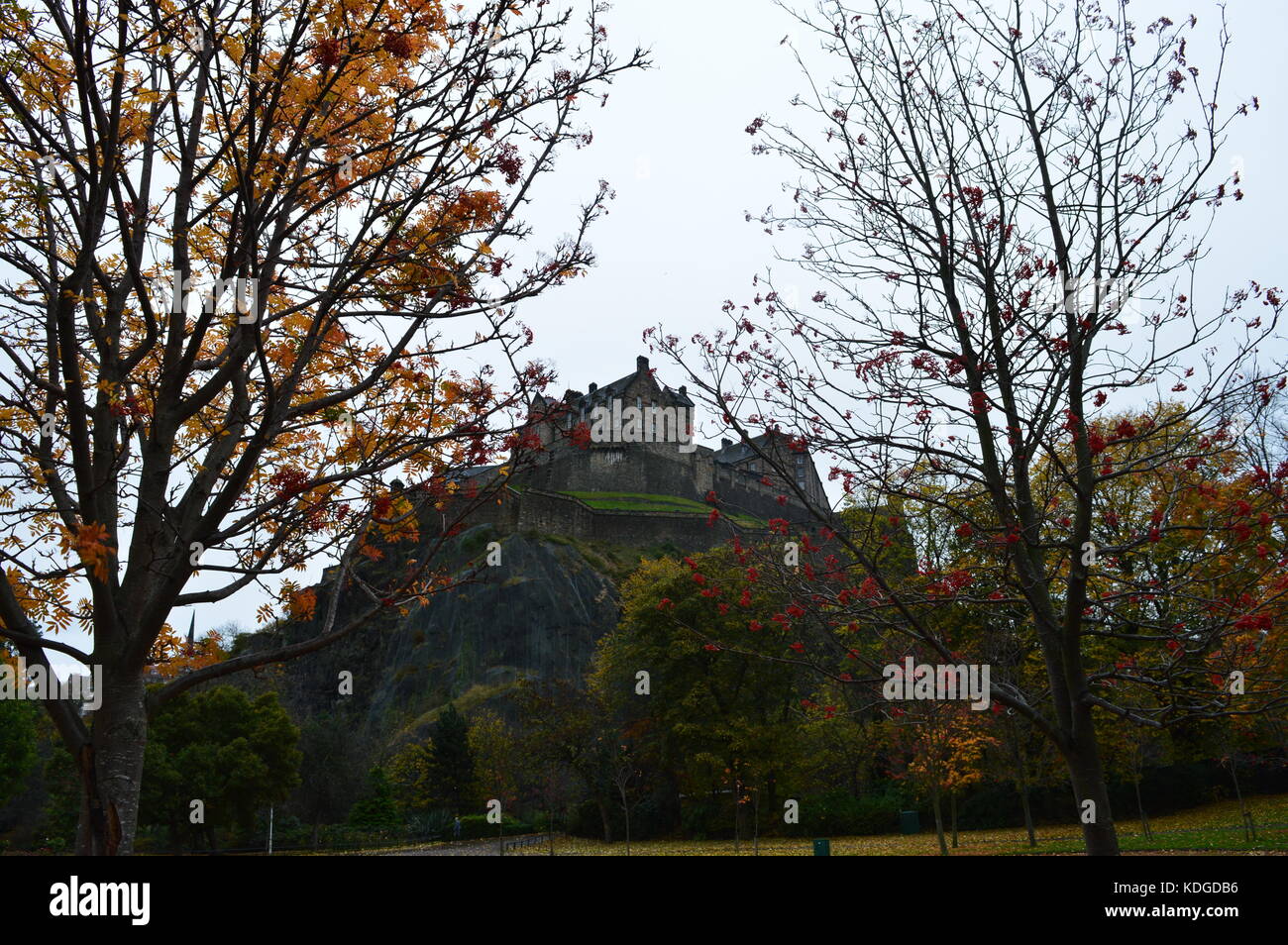 Castle fog park autumn garden hi-res stock photography and images - Alamy
