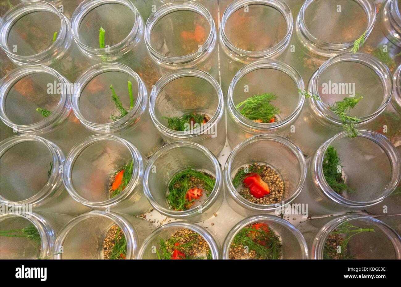 Brooklyn Brine pickles company NYC Stock Photo - Alamy