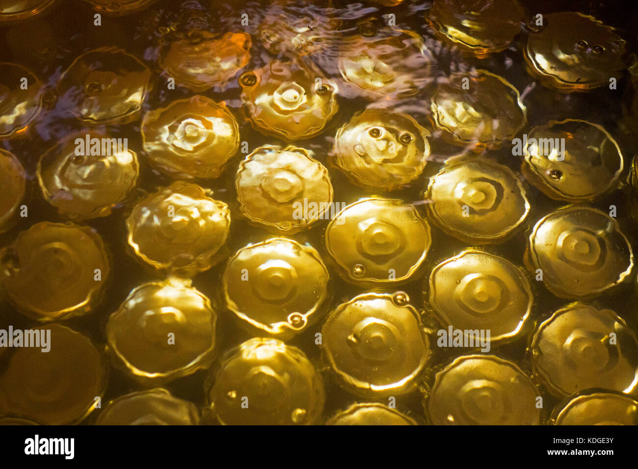 Brooklyn Brine pickles company NYC Stock Photo - Alamy