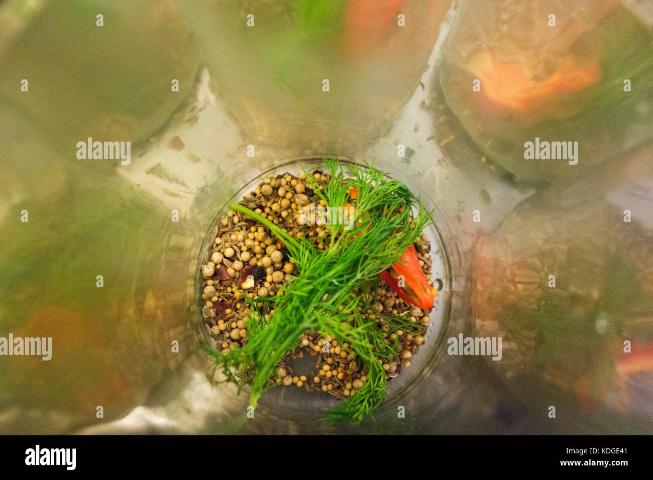Brooklyn Brine pickles company NYC Stock Photo - Alamy