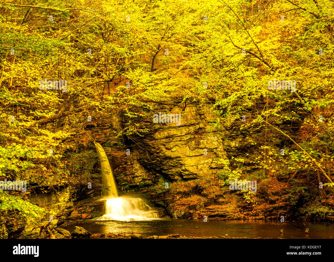Waterfall in autumn forest background. Beautiful golden colors Stock ...