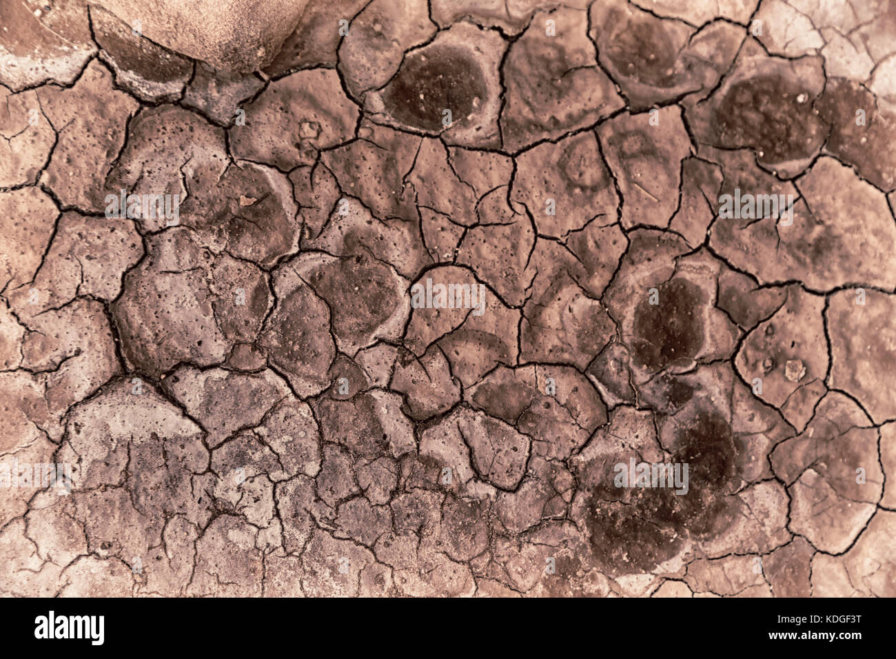 in the desert the dry ground like background texture Stock Photo - Alamy
