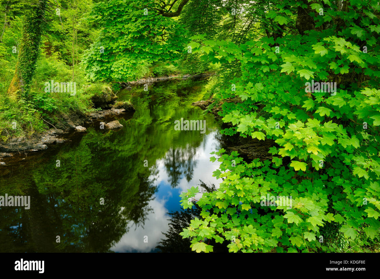 Still waters of Ballynahinch River. Connemara. County Galway, Ireland ...