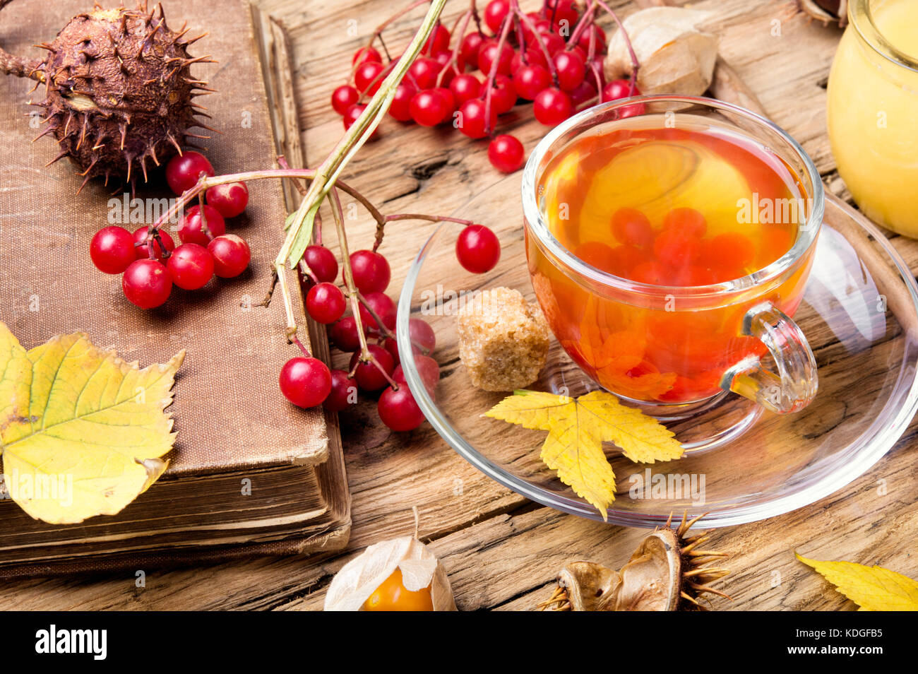 cup of berry tea with a mulberry on background with autumn leaves Stock ...