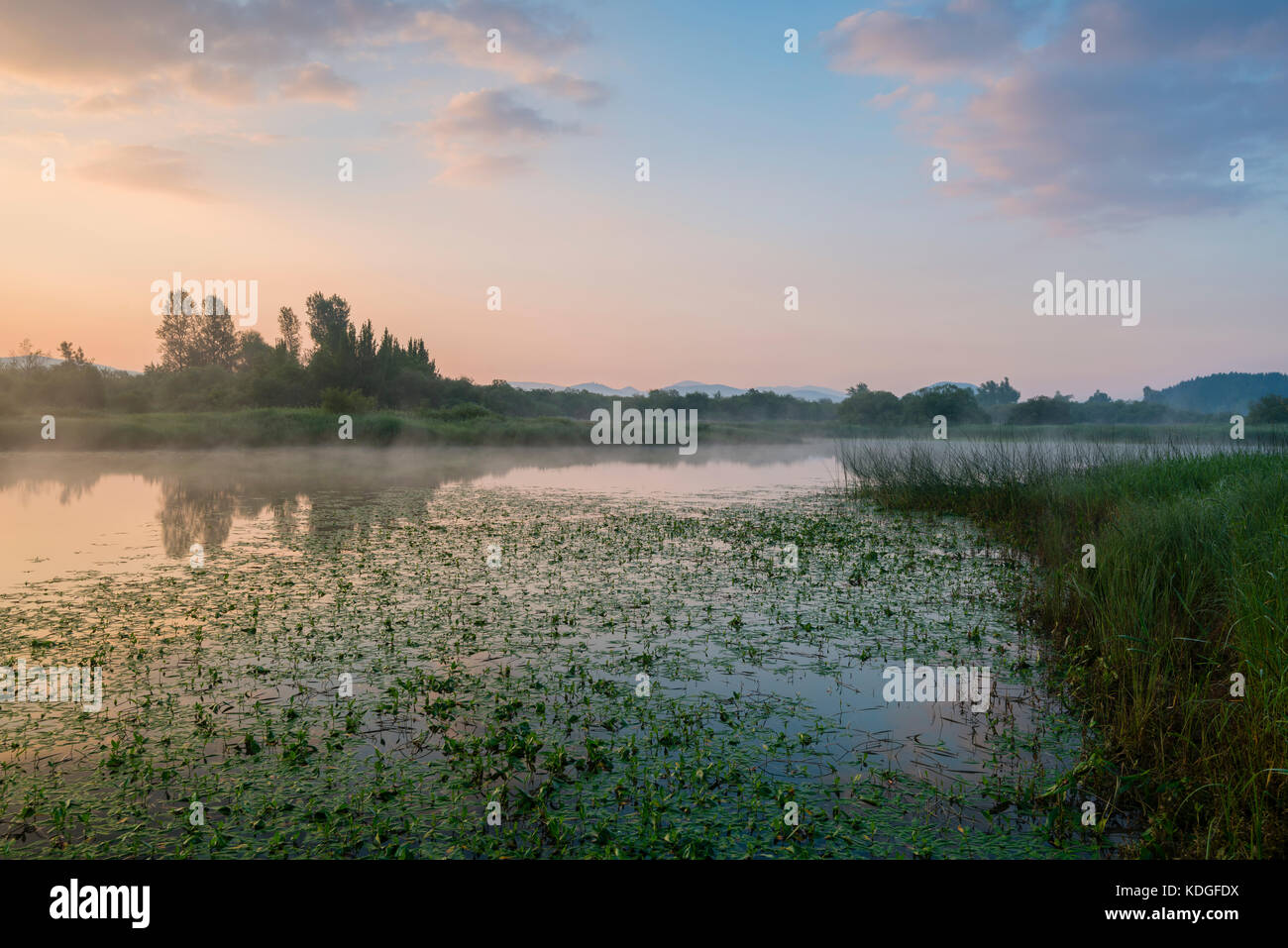 Sunrise at the Zirknitz Lake, Cerknisko jezero, Sicker Lake, Zirknitz ...