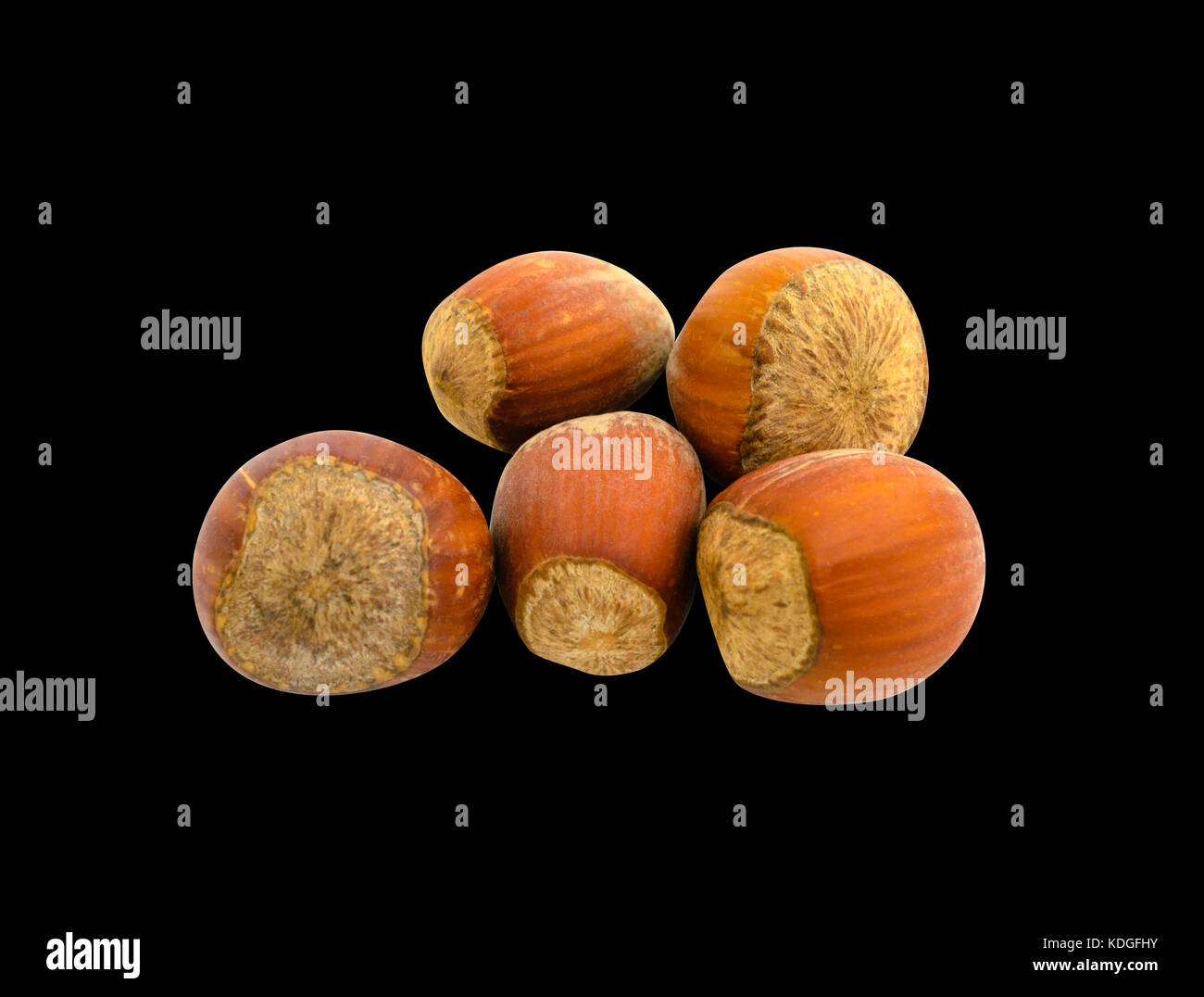 Several hazelnuts in shell isolated on black background. Photo Stock ...