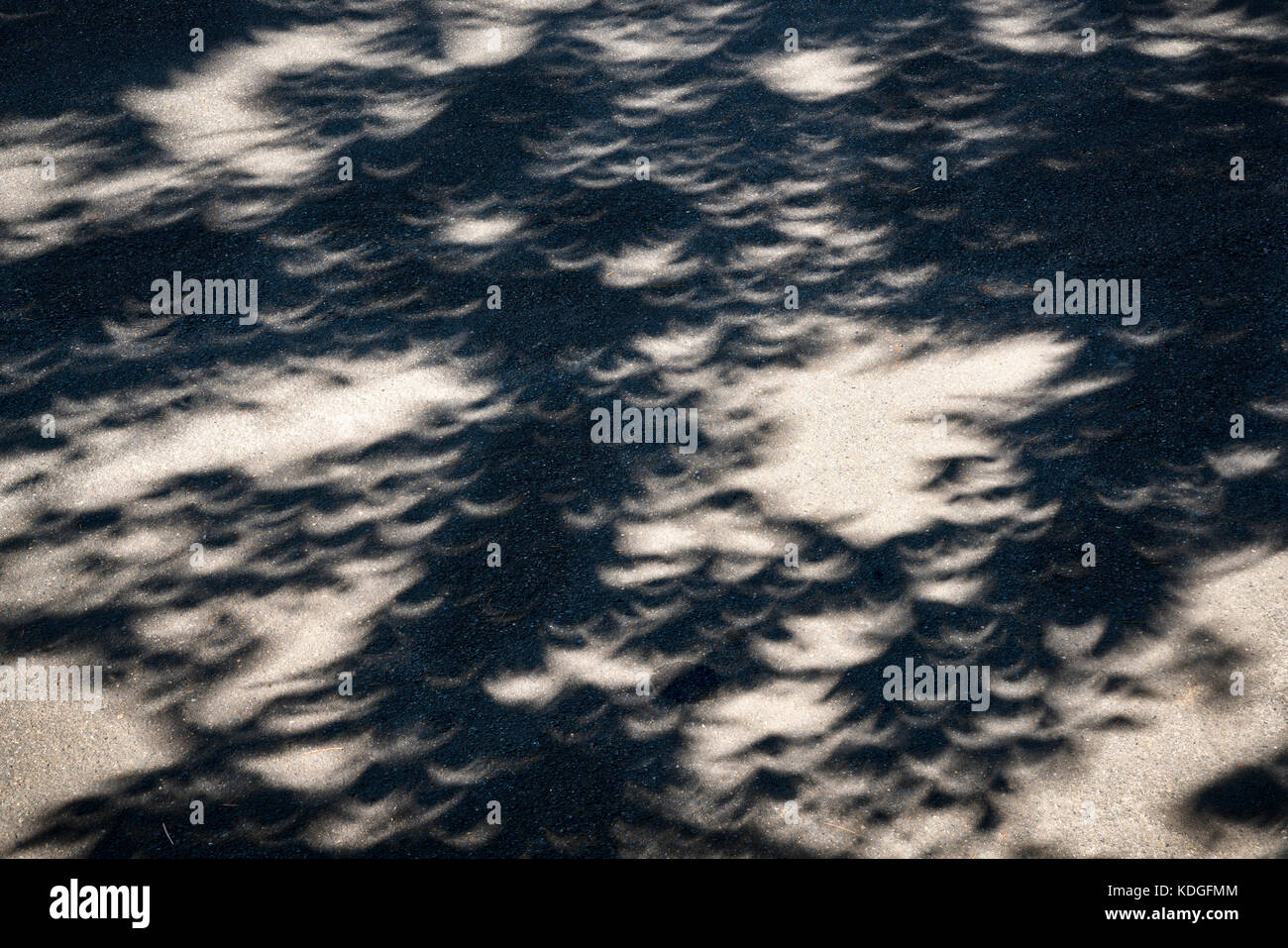 Eclipse pattern in street as the sun is passing through tree leaves ...
