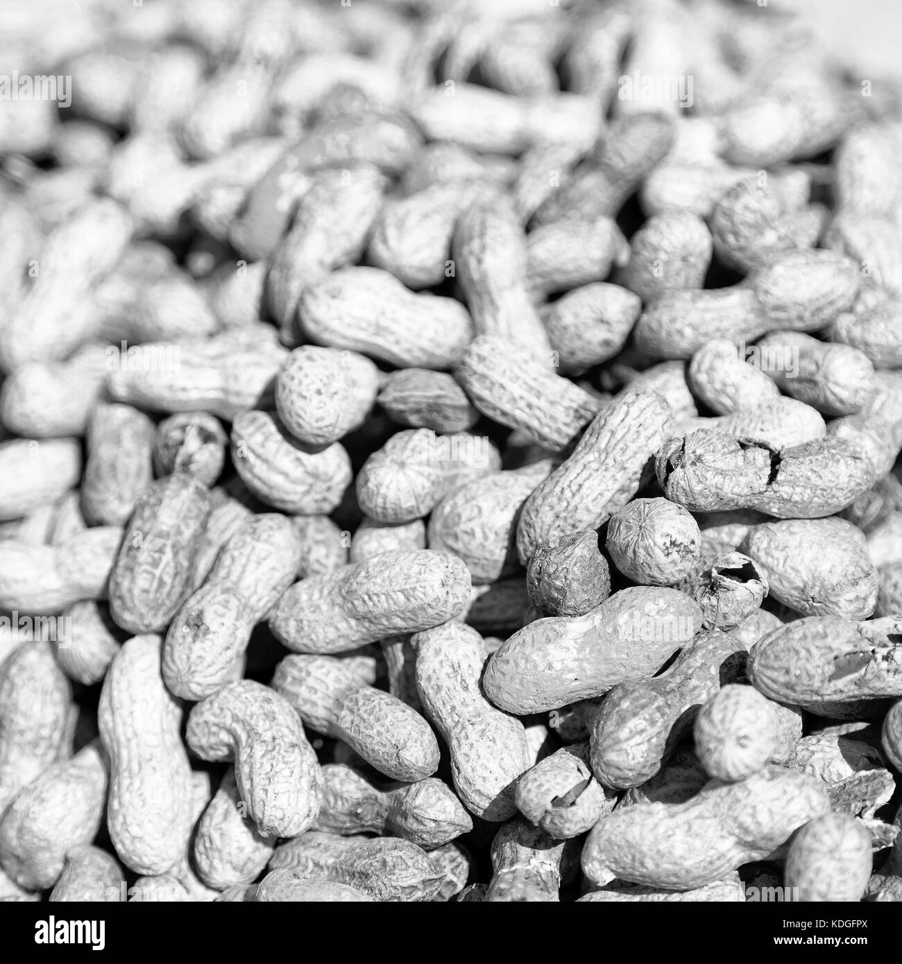 in the market lots of peanuts like concept of healthy food and snack ...