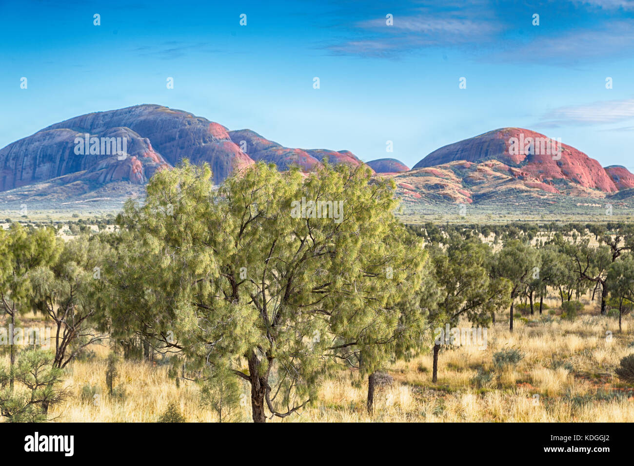 in australia the concept of wilderness environment in the landscape ...